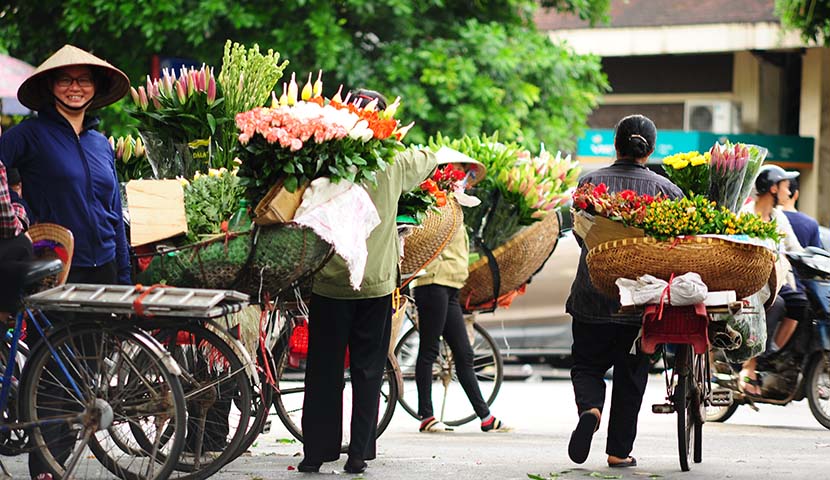 Vietnam Insight Experience